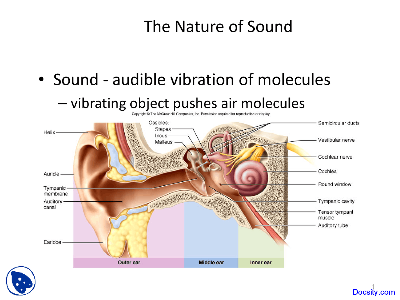 Nature of Sound -Human Physiology and Anatomy - Lecture Slides - Docsity