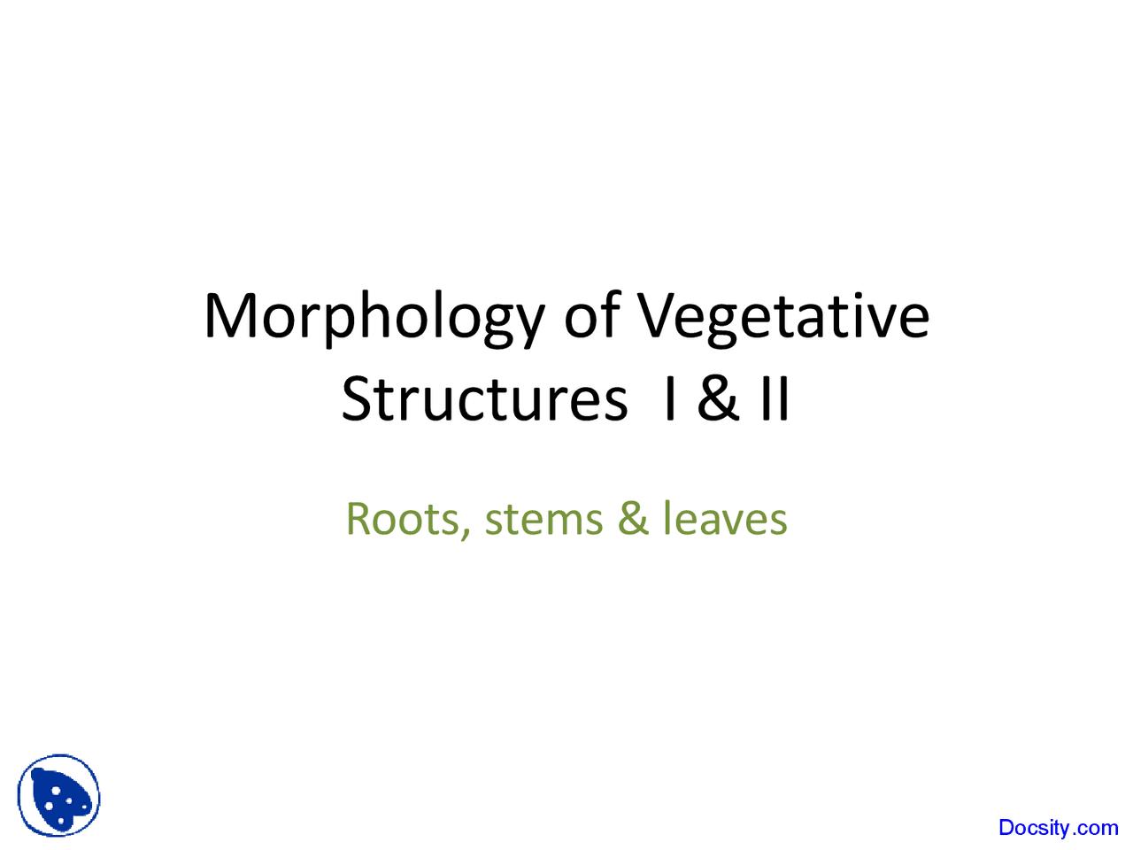 Morphology of Vegetative Structures - Plant Taxonomy - Lecture Slides ...