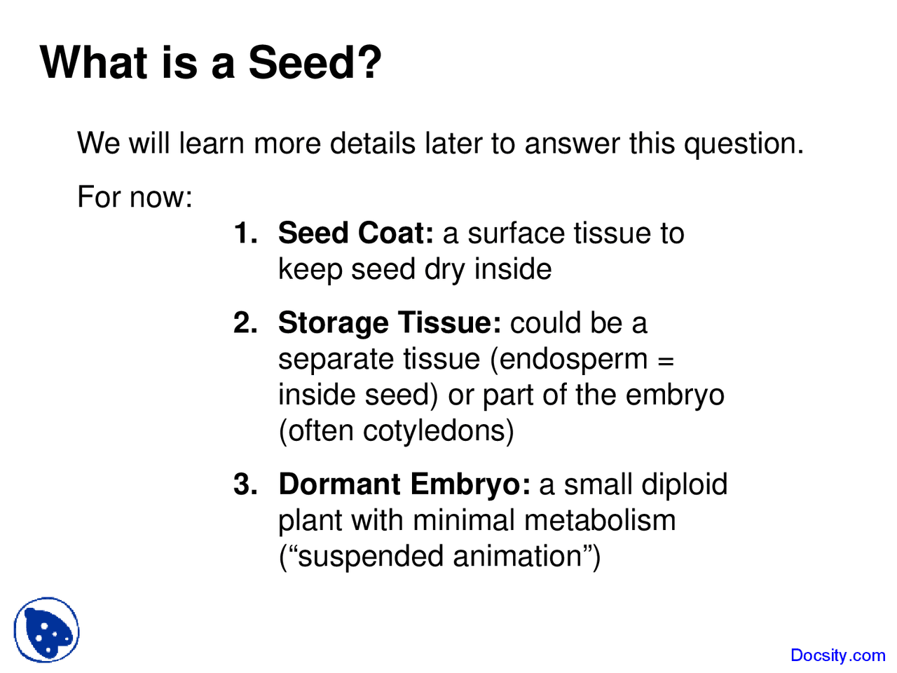Seed - Biology of Plants - Lecture Slides - Docsity