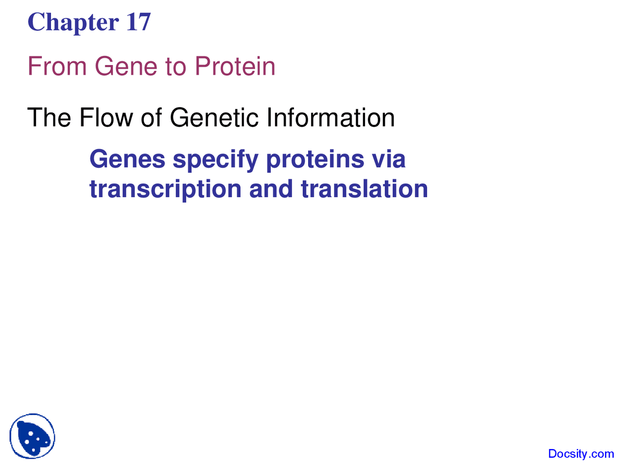 Flow Of Genetic Info Through The Cell Diagram Genetic Dna Rn