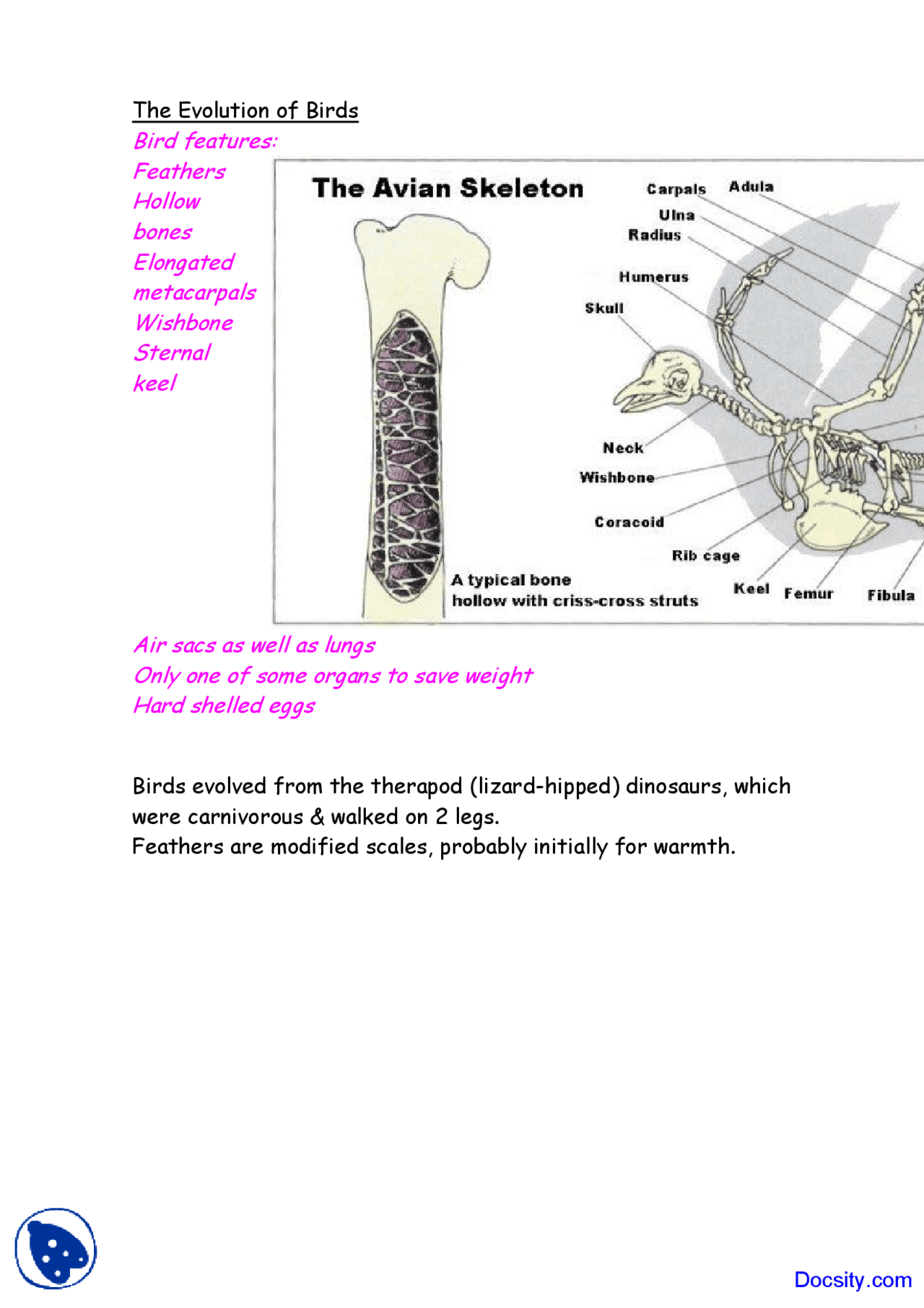 Evolution Of Birds Requirements For Growth And Reproduction Lecture
