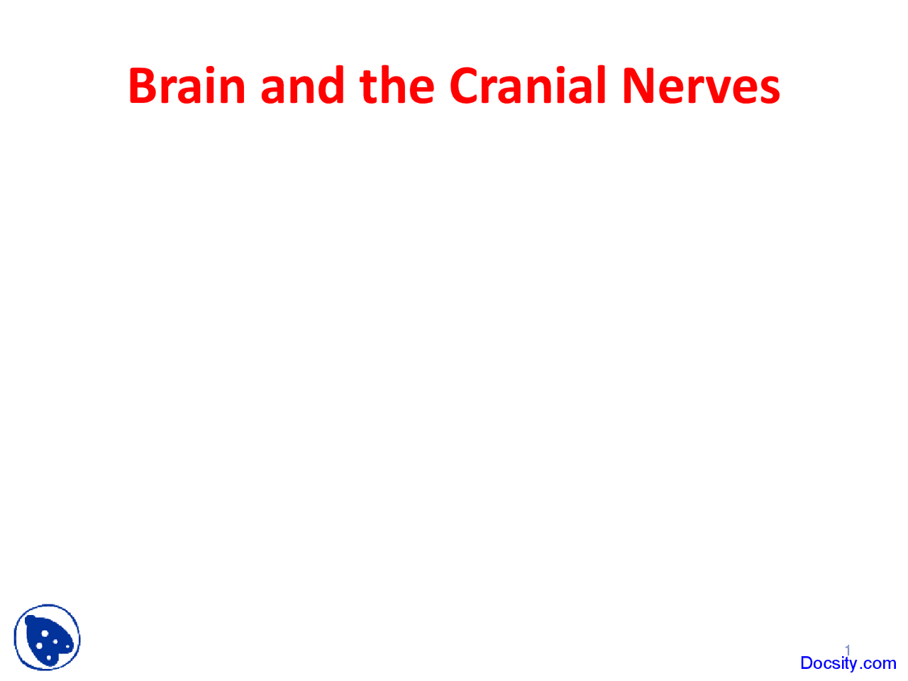 Brain And The Cranial Nerves Human Physiology And Anatomy Lecture