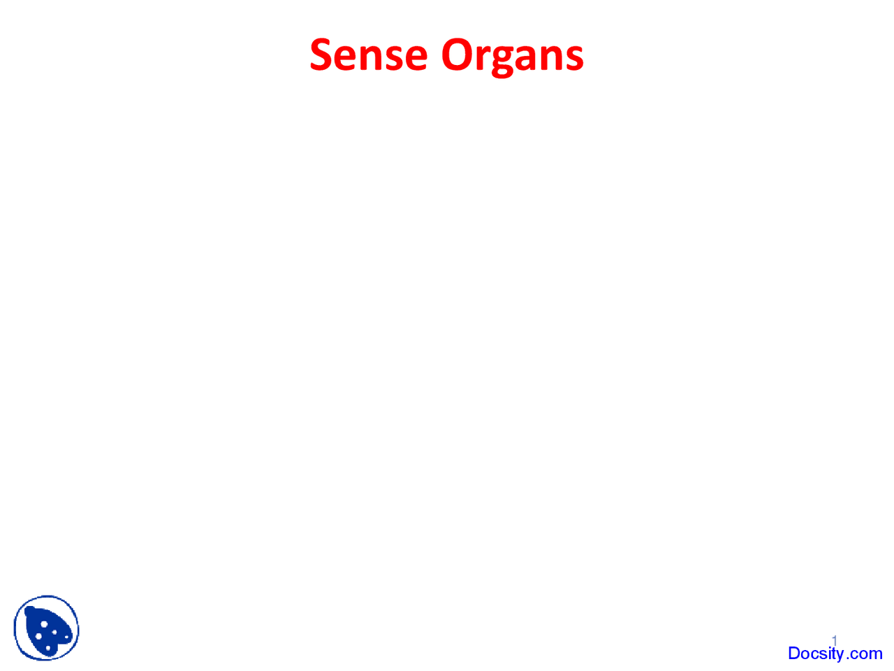 Sense Organs -Human Physiology and Anatomy - Lecture Slides | Slides ...