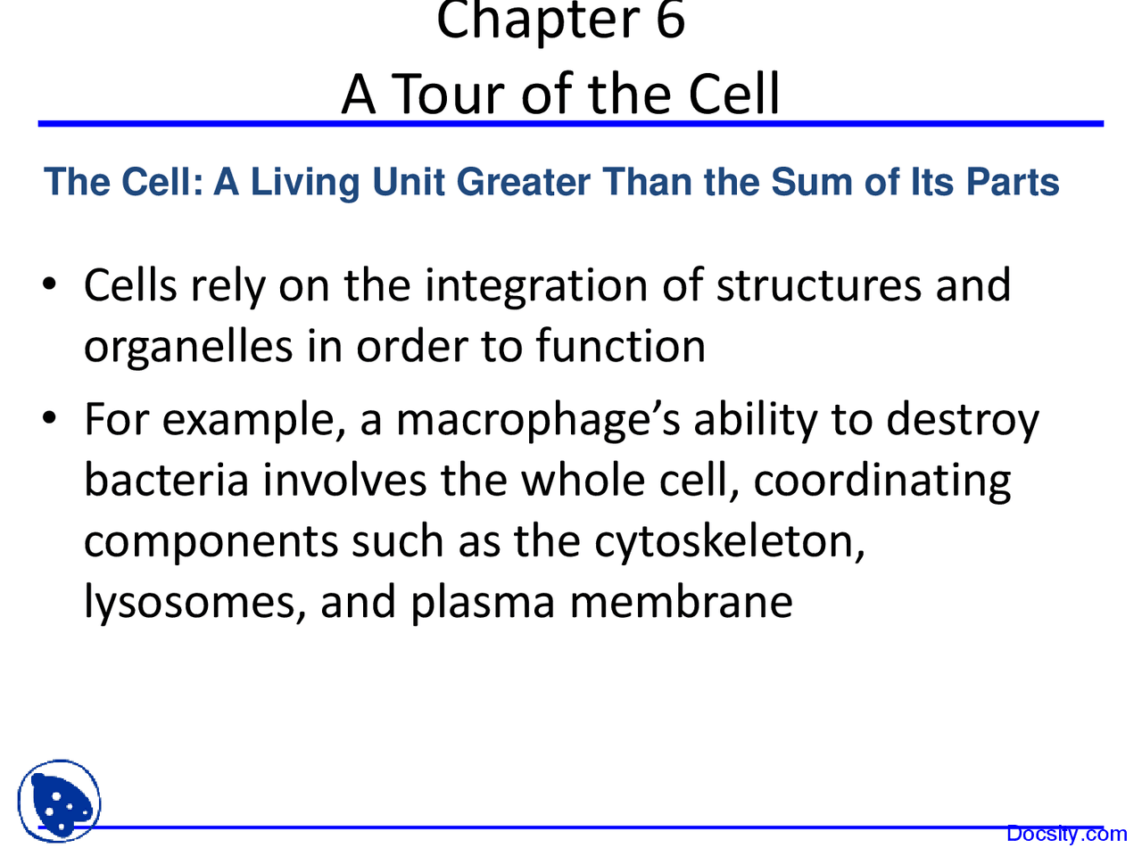 Tour Of Cell Basic Biology Lecture Slides Docsity