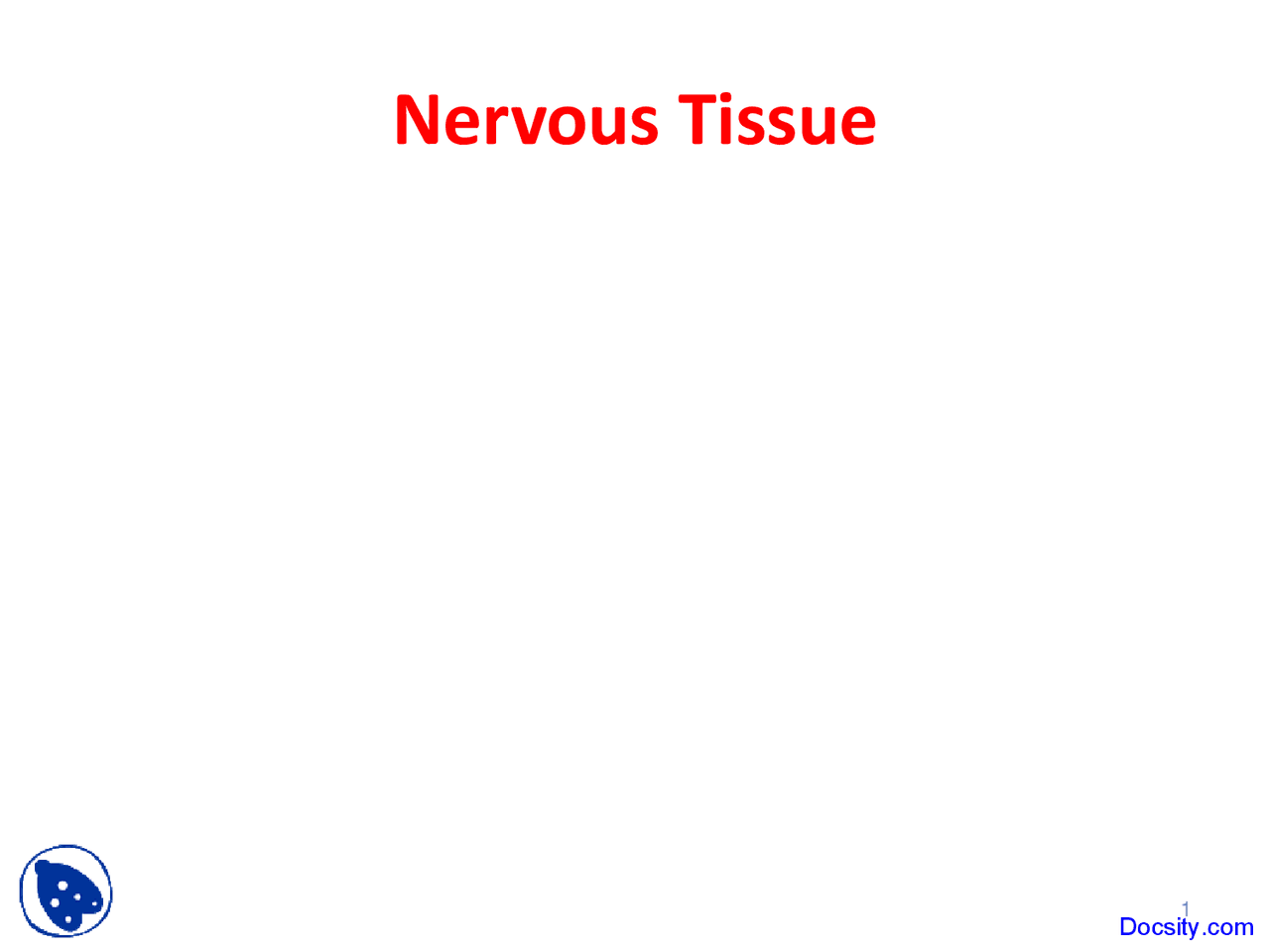 Nervous Tissue -Human Physiology and Anatomy - Lecture Slides - Docsity