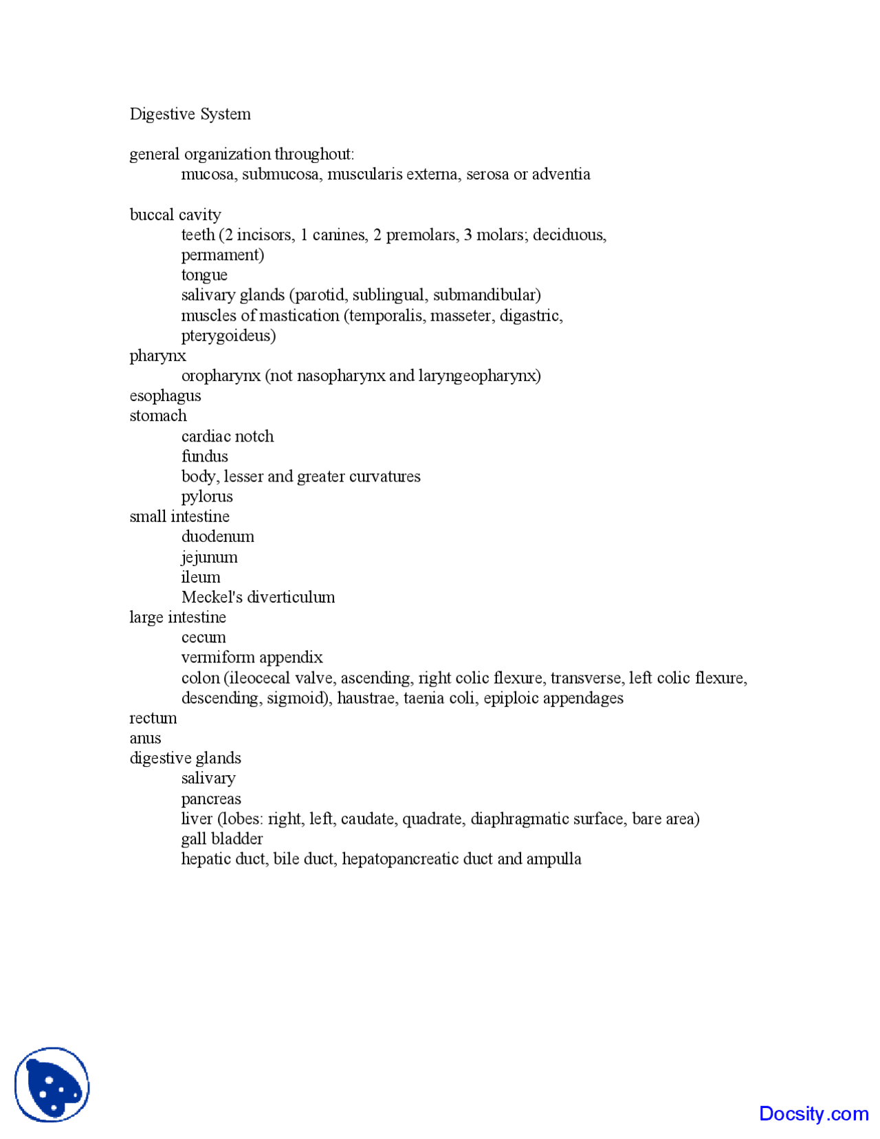 Digestive System Morphology Of Human Body Lecture Notes Docsity