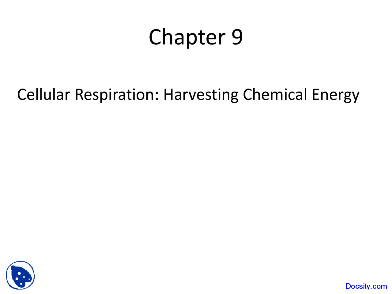 Cellular Respiration Basic Biology Lecture Slides Docsity