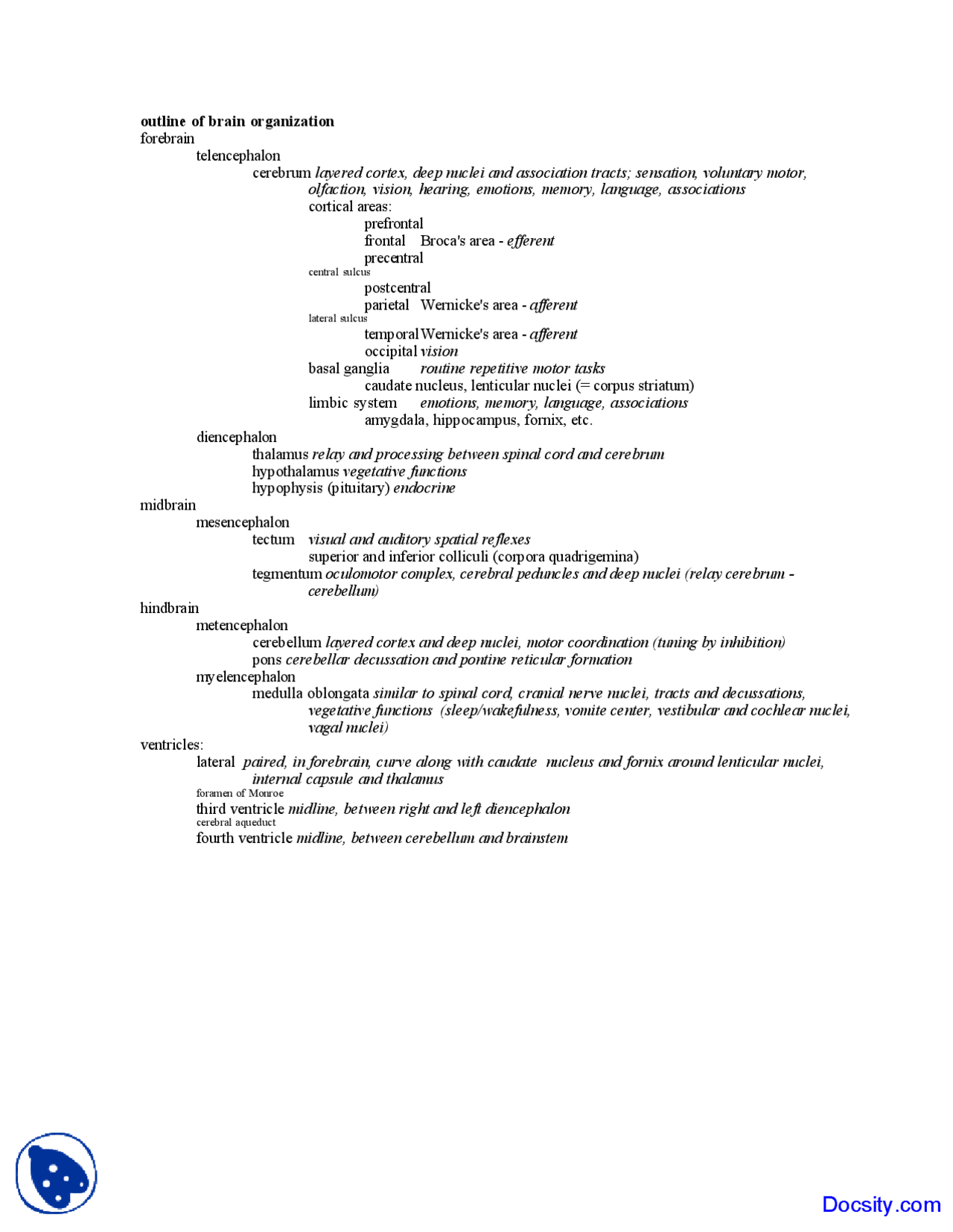 Brain Organization Morphology Of Human Body Lecture Notes Docsity