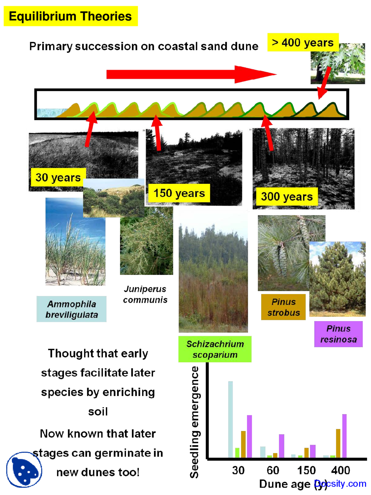 Equilibrium Theories - Community Ecology - Lecture Slides - Docsity