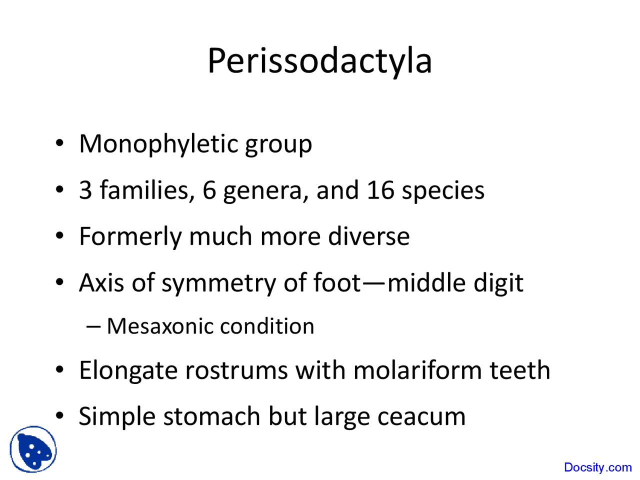 Perissodactyla Mammalogy Lecture Slides Docsity