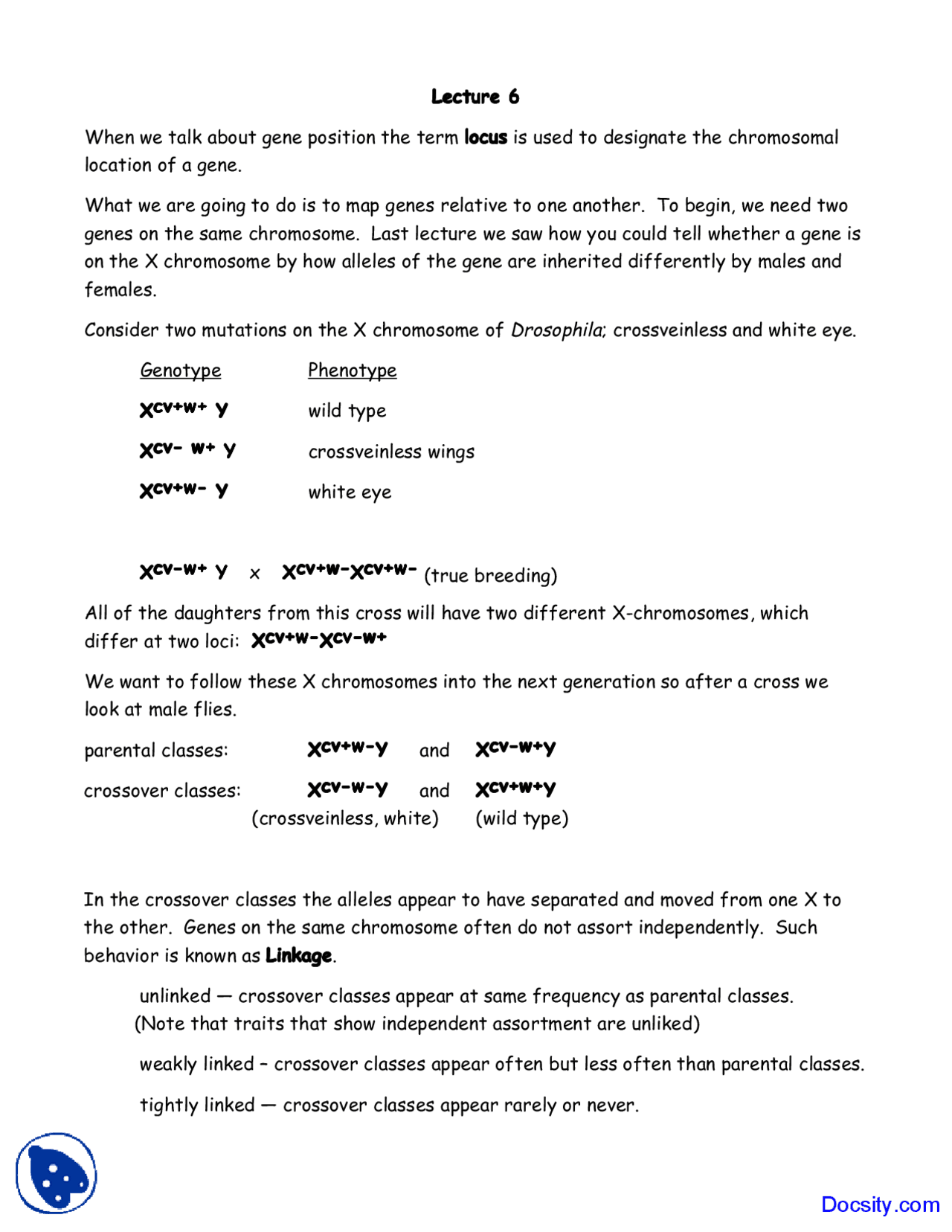 Recombination And Genetic Maps Cell Biology Lecture Notes Docsity