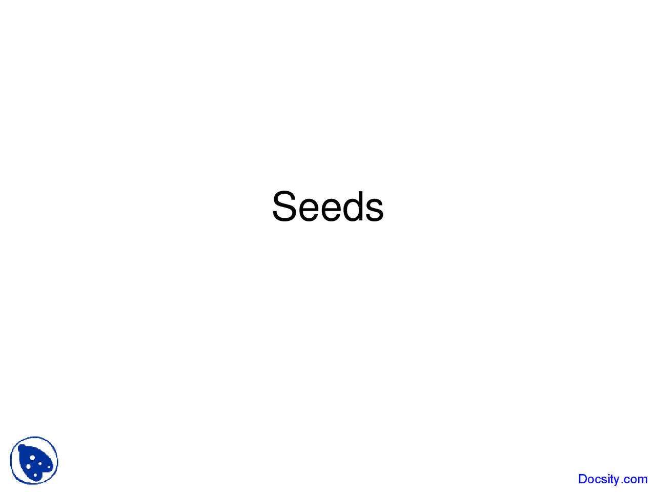 Seeds Classification Of Plants Lecture Slides Docsity