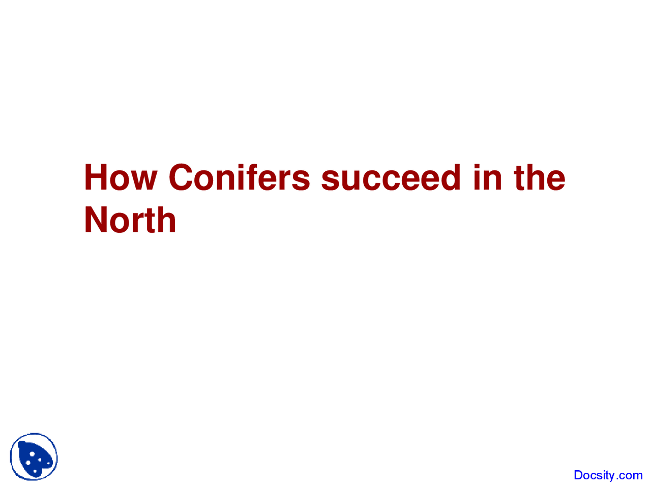 Conifers Succeed In North Ecosystem Processes Lecture Slides Docsity