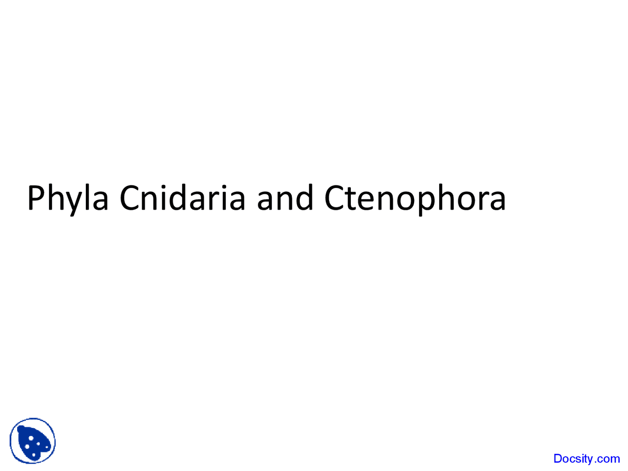 Phyla Cnidaria and Ctenophora - Ecosystem Processes - Lecture Slides ...