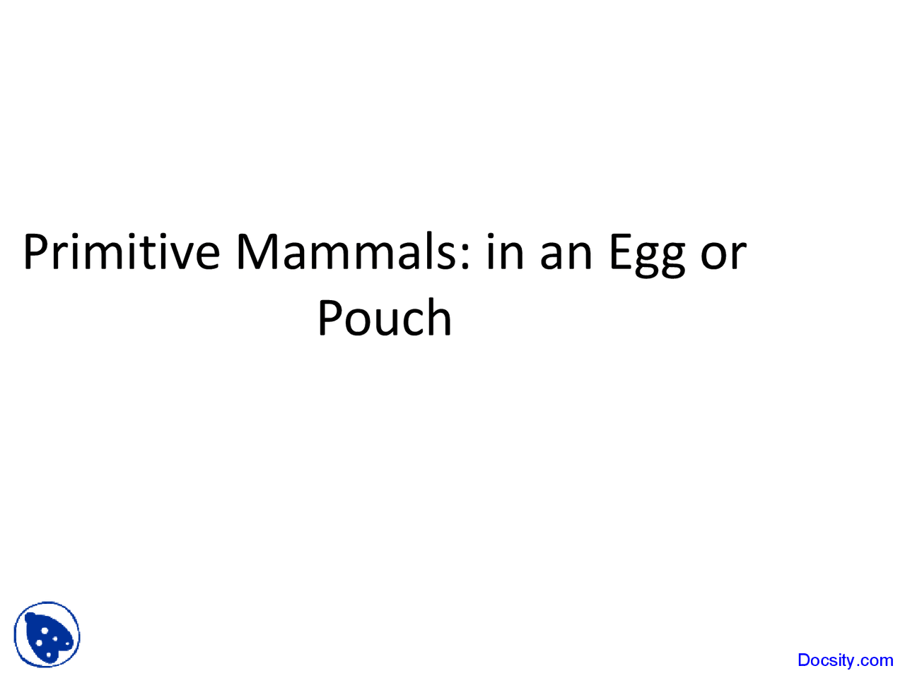 Primitive Mammals Ecosystem Processes Lecture Slides Docsity