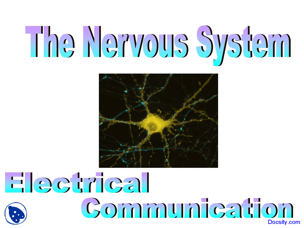Electrical Communication Human Systems Lecture Slides Docsity