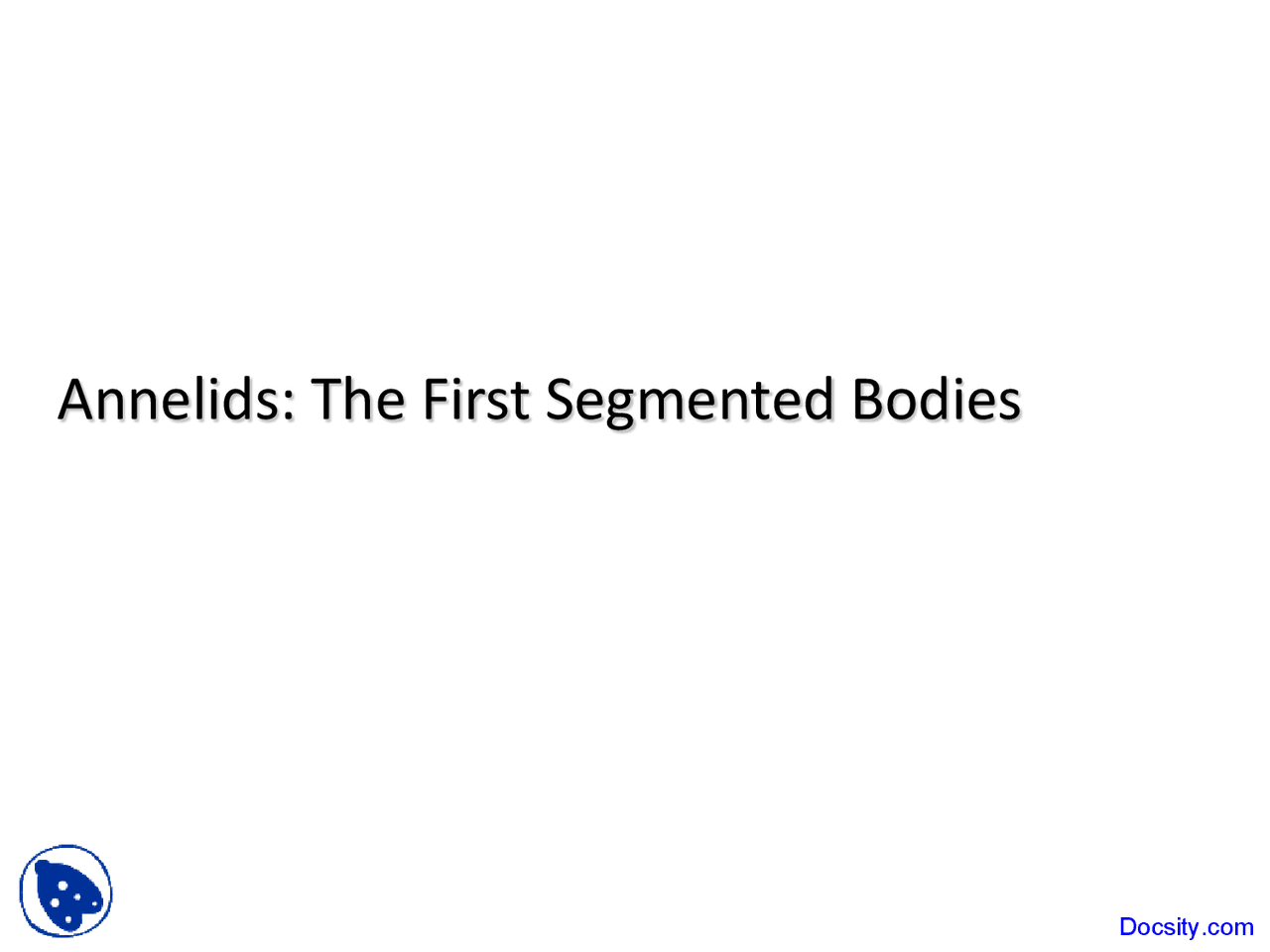 First Segmented Bodies Ecosystem Processes Lecture Slides Docsity