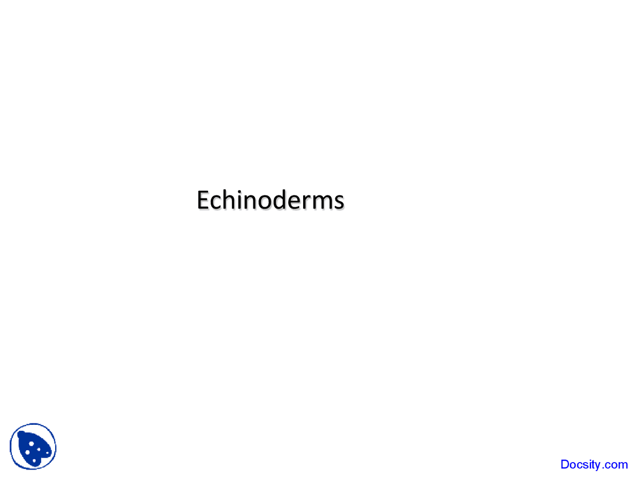 Echinoderms Ecosystem Processes Lecture Slides Docsity