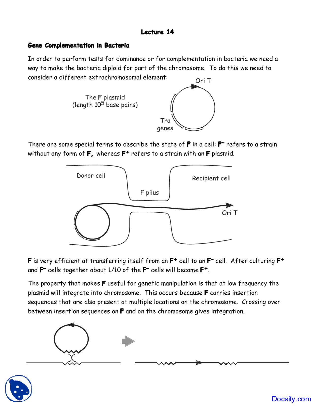 Complementation in Bacteria - Cell Biology - Lecture Notes - Docsity