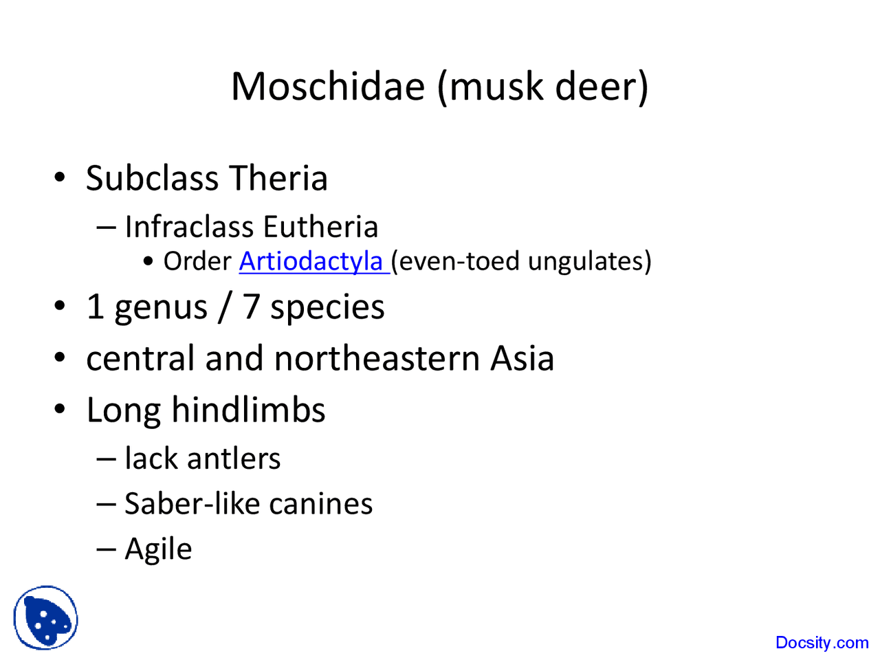 Moschidae Mammalogy Lecture Slides Docsity