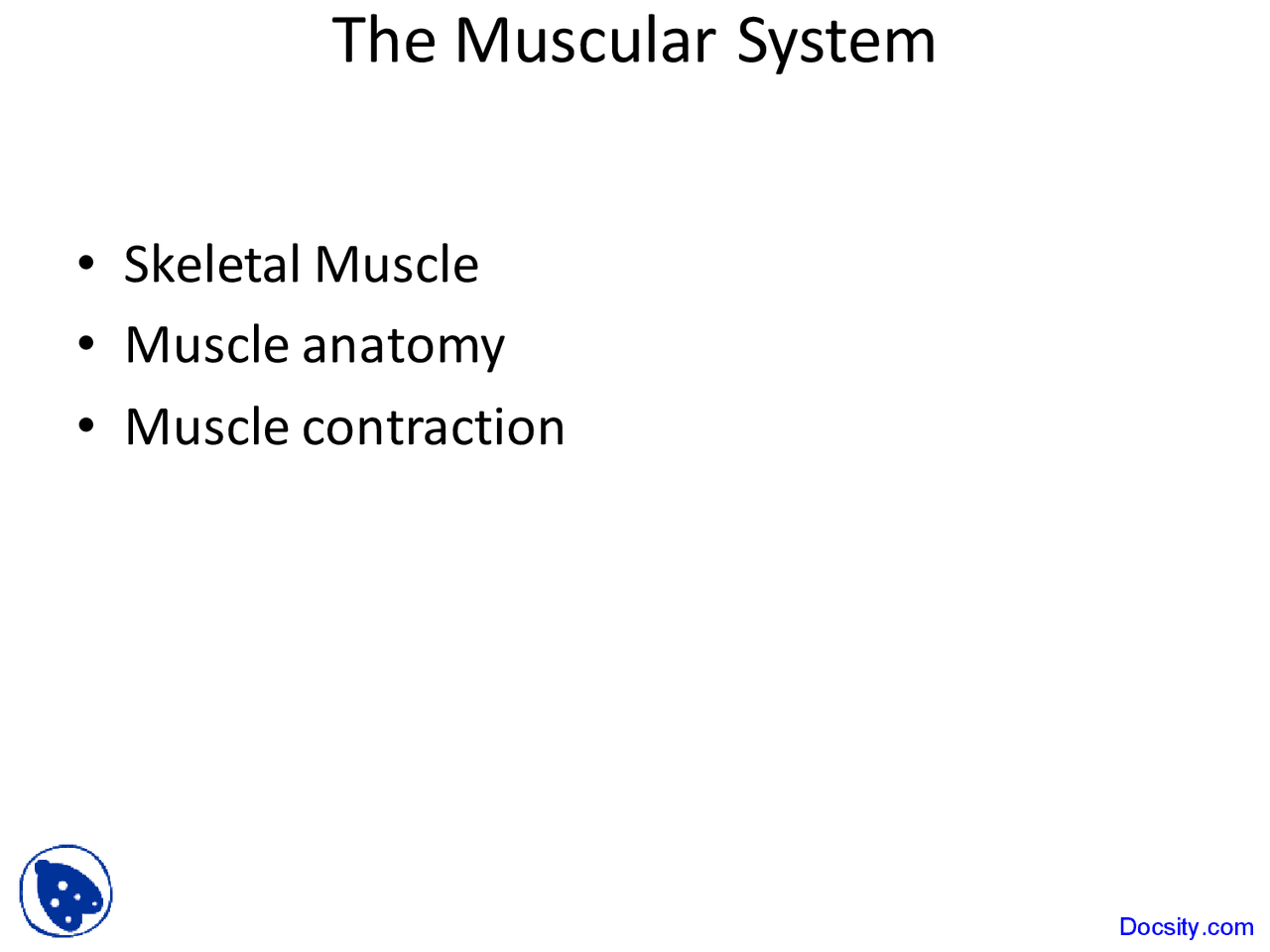 Muscular System Biological Anthropology Lecture Slides Docsity