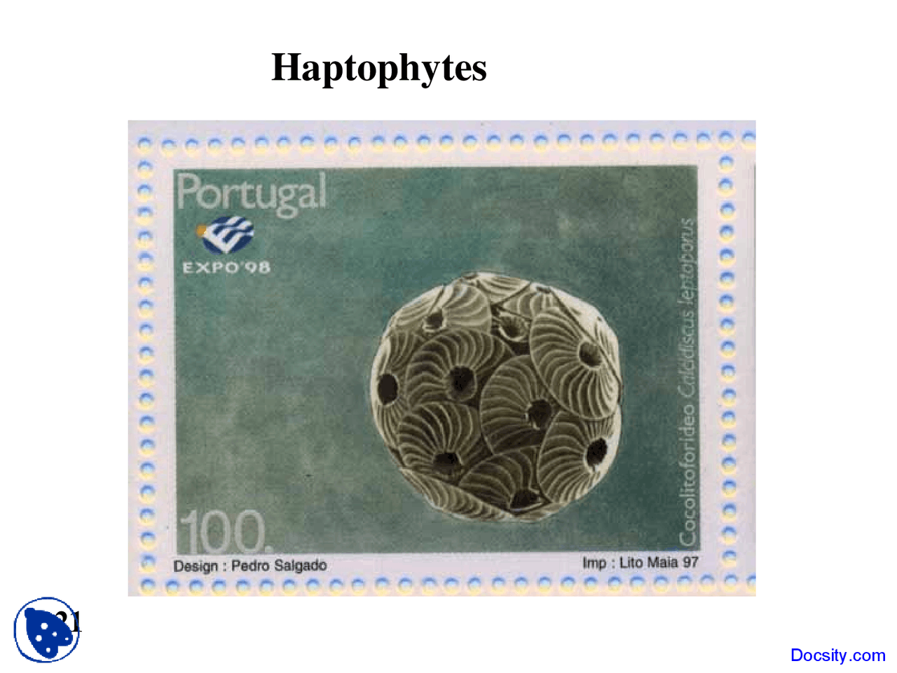 Haptophytes - Biology of Algae and Fungi - Lecture Slides | Slides ...