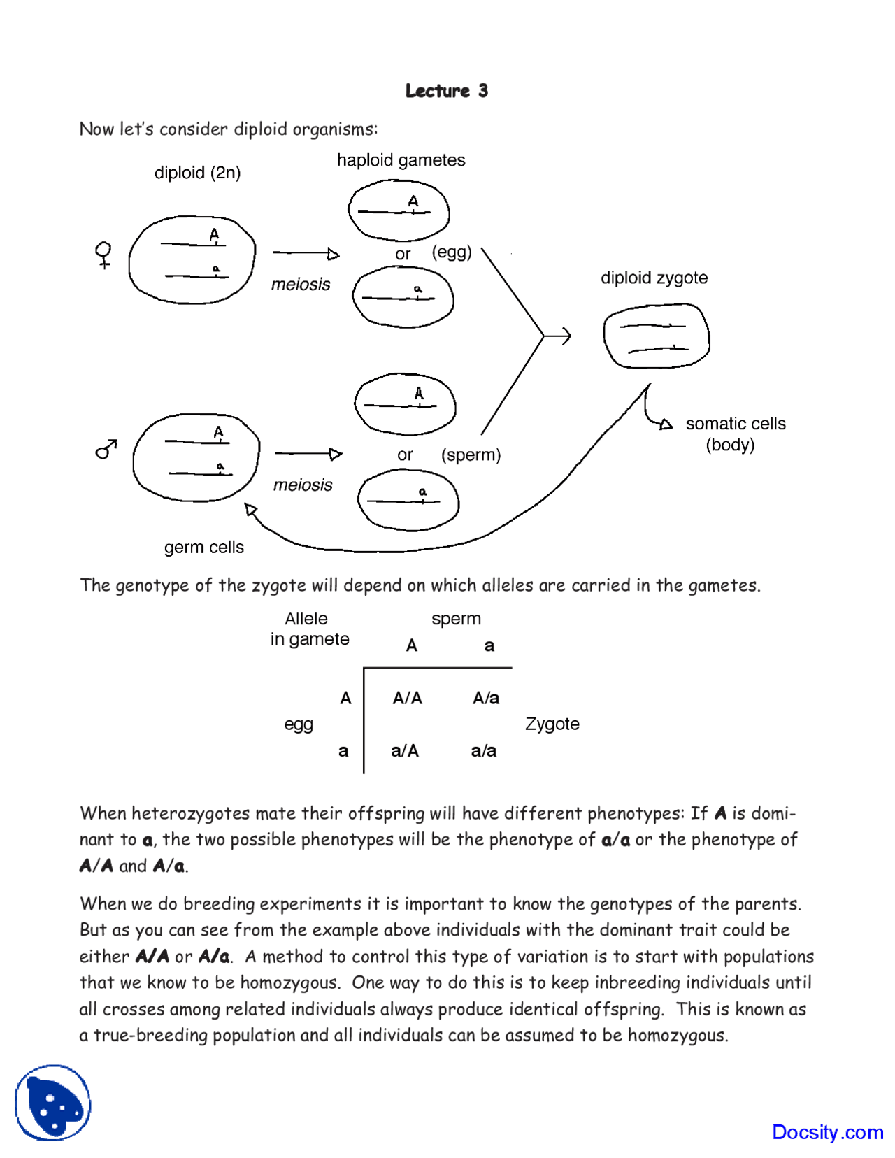 Mendelian Genetics Cell Biology Lecture Notes Docsity