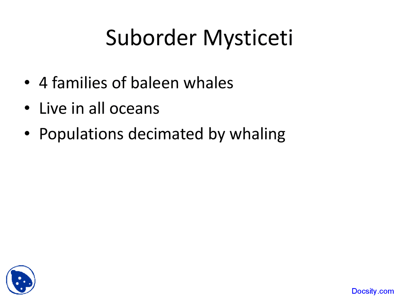 Suborder Mysticeti Mammalogy Lecture Slides Docsity