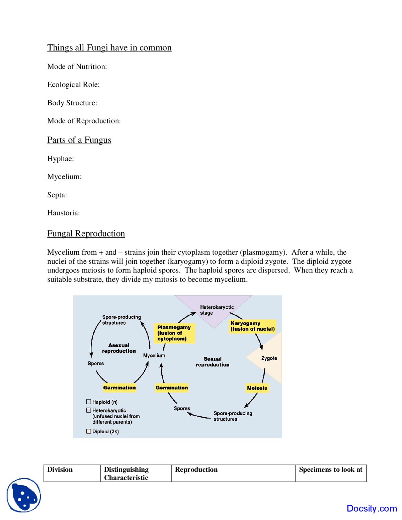 Mode of Nutrition - Biology of Organisms - Lecture Handouts - Docsity