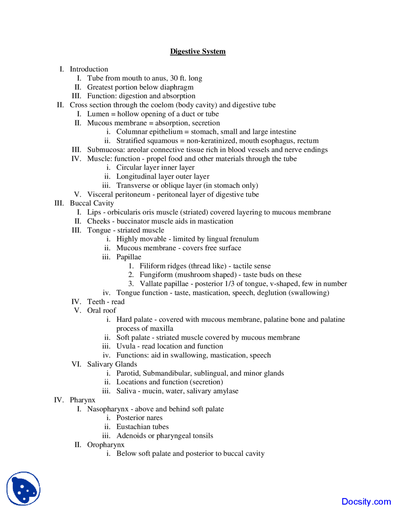 Digestive System - Human Anatomy and Physiology - Lecture Handouts ...