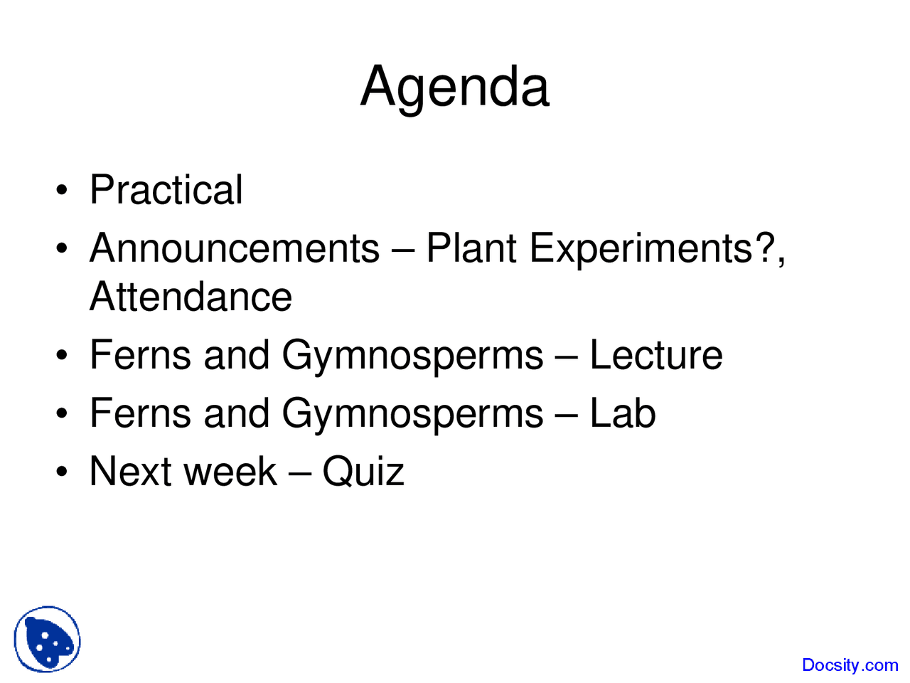 Ferns And Gymnosperms Biology Of Organisms Lecture Slides Docsity