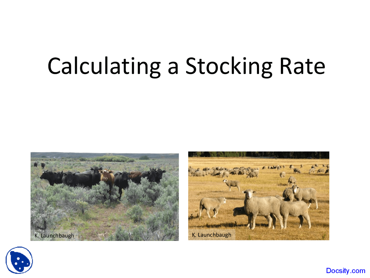 Calculating A Stocking Rate Rangeland Principles Lecture Slides