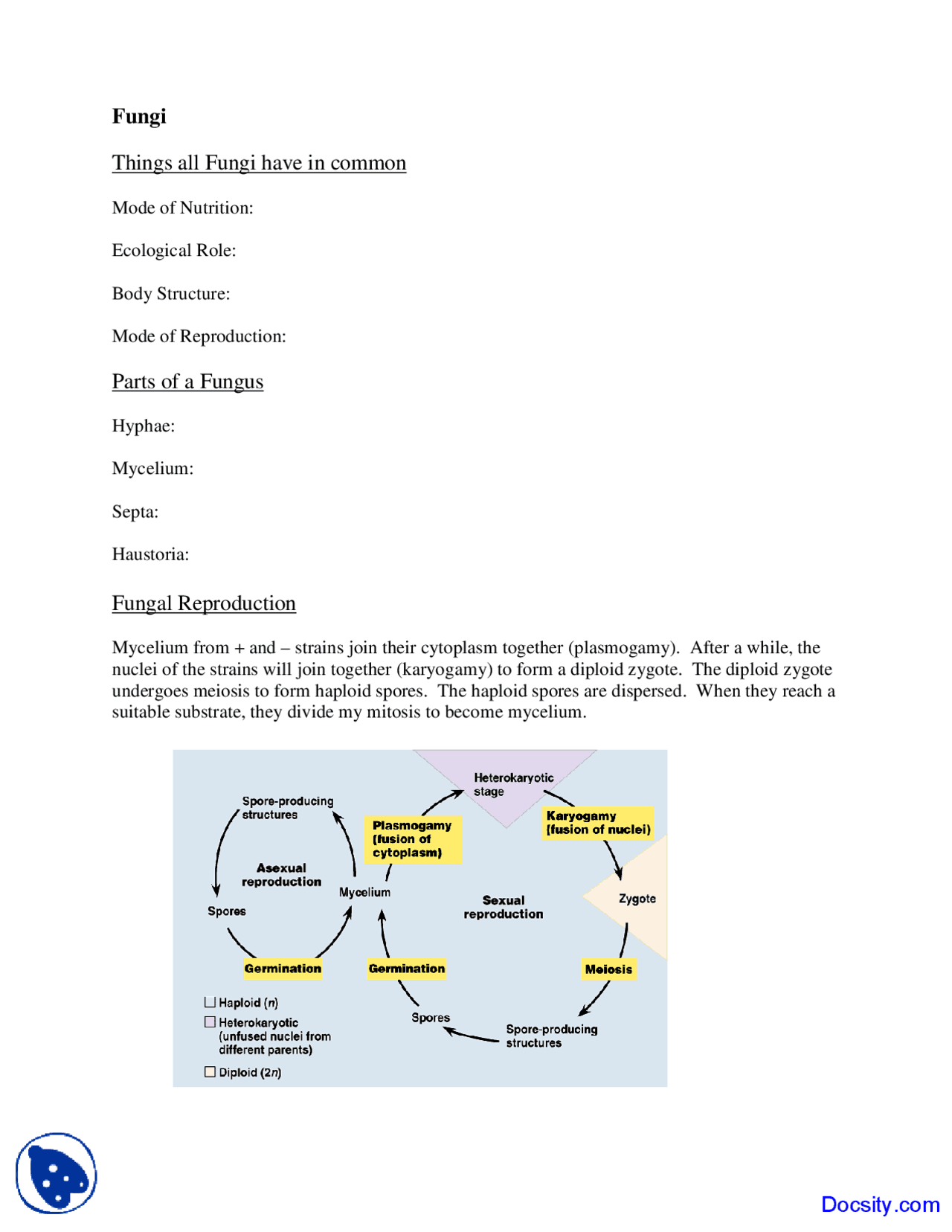 Fungi Biology Of Organisms Lecture Handouts Docsity