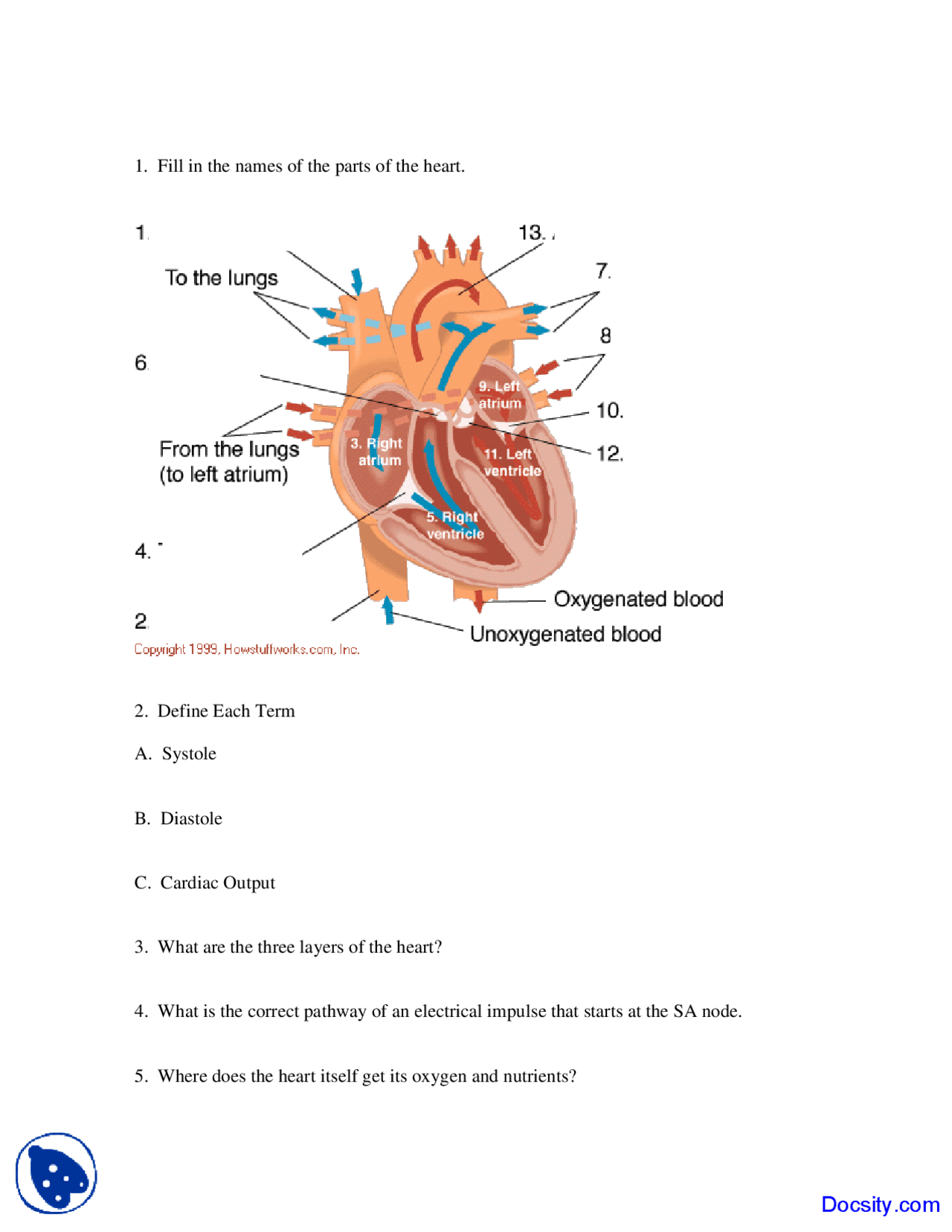 Heart - Biology of Organisms - Solved Quiz - Docsity