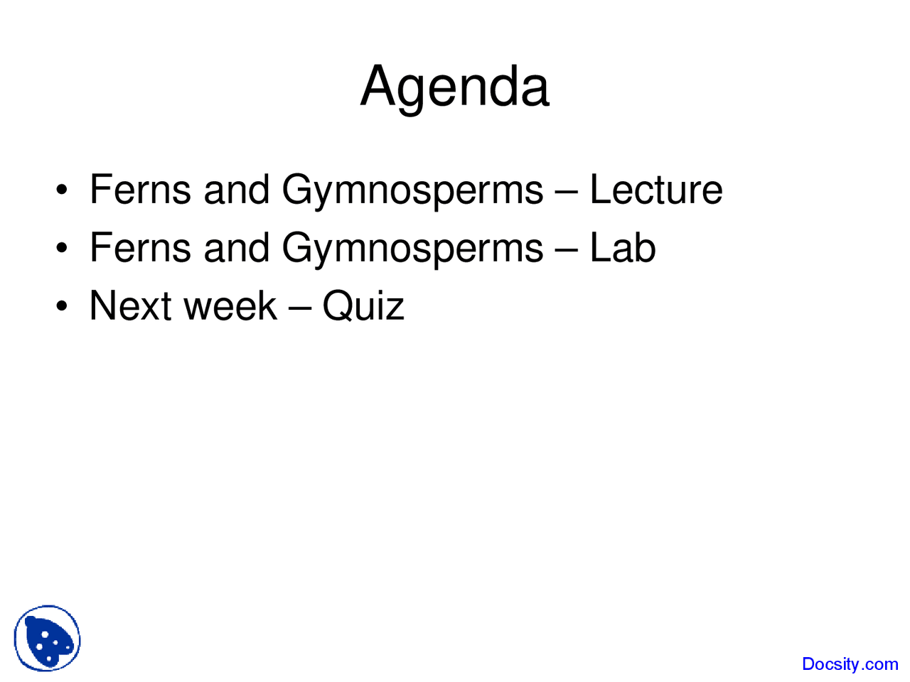 Gymnosperms Biology Of Organisms Lecture Slides Docsity