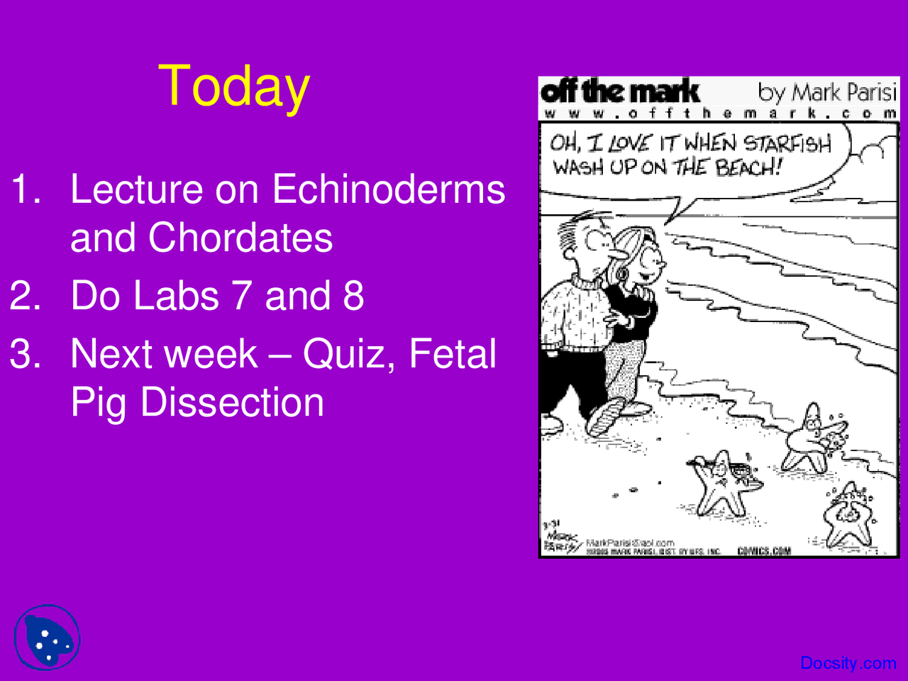 Echinoderms Biology Of Organisms Lecture Slides Docsity