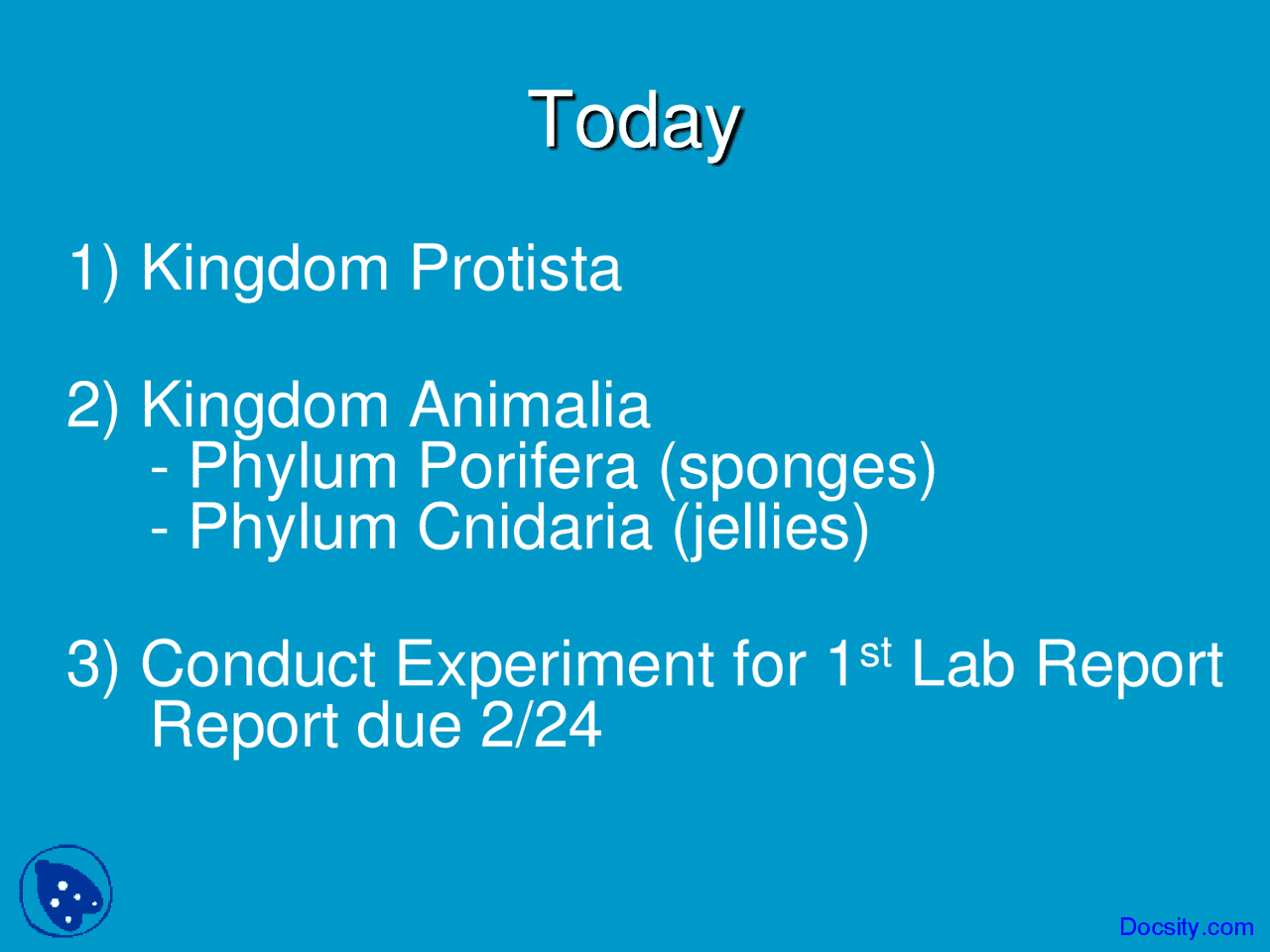 Kingdom Protista Biology Of Organisms Lecture Slides Docsity