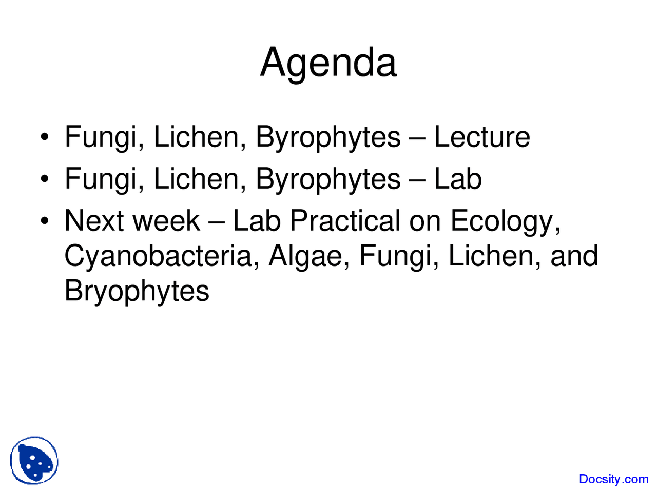 Fungi Lichen Byrophytes Biology Of Organisms Lecture Slides Docsity