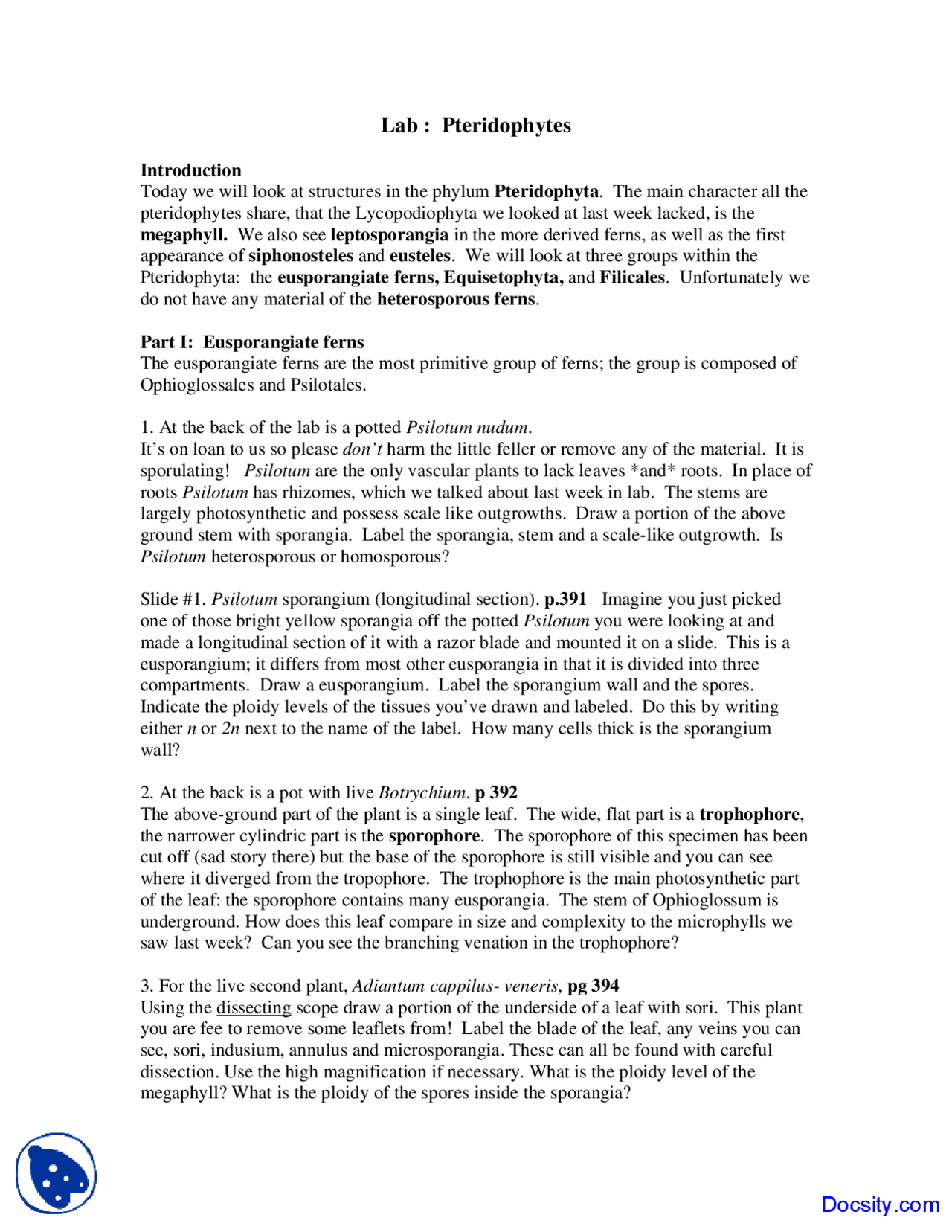 Pteridophytes - Structure and Function of Plants - Lab Manual | Study ...
