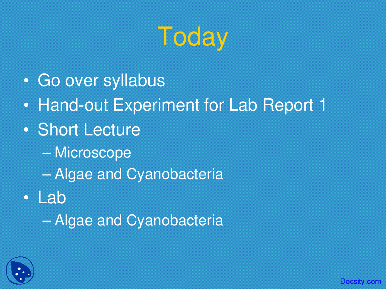 Algae and Cyanobacteria - Biology of Organisms - Lecture Slides - Docsity