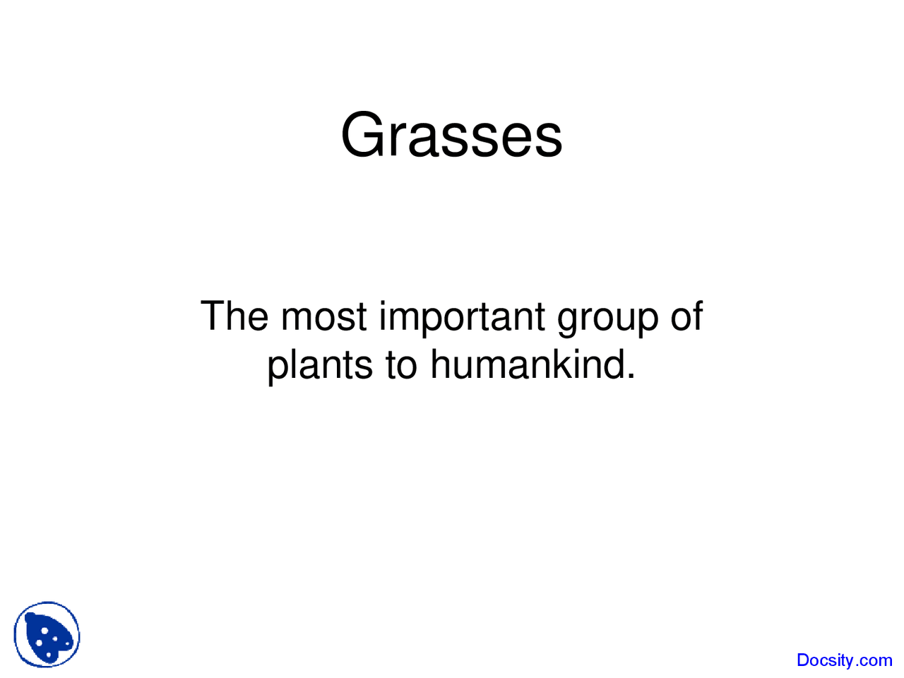 Grasses Plants And Society Lecture Slides Docsity