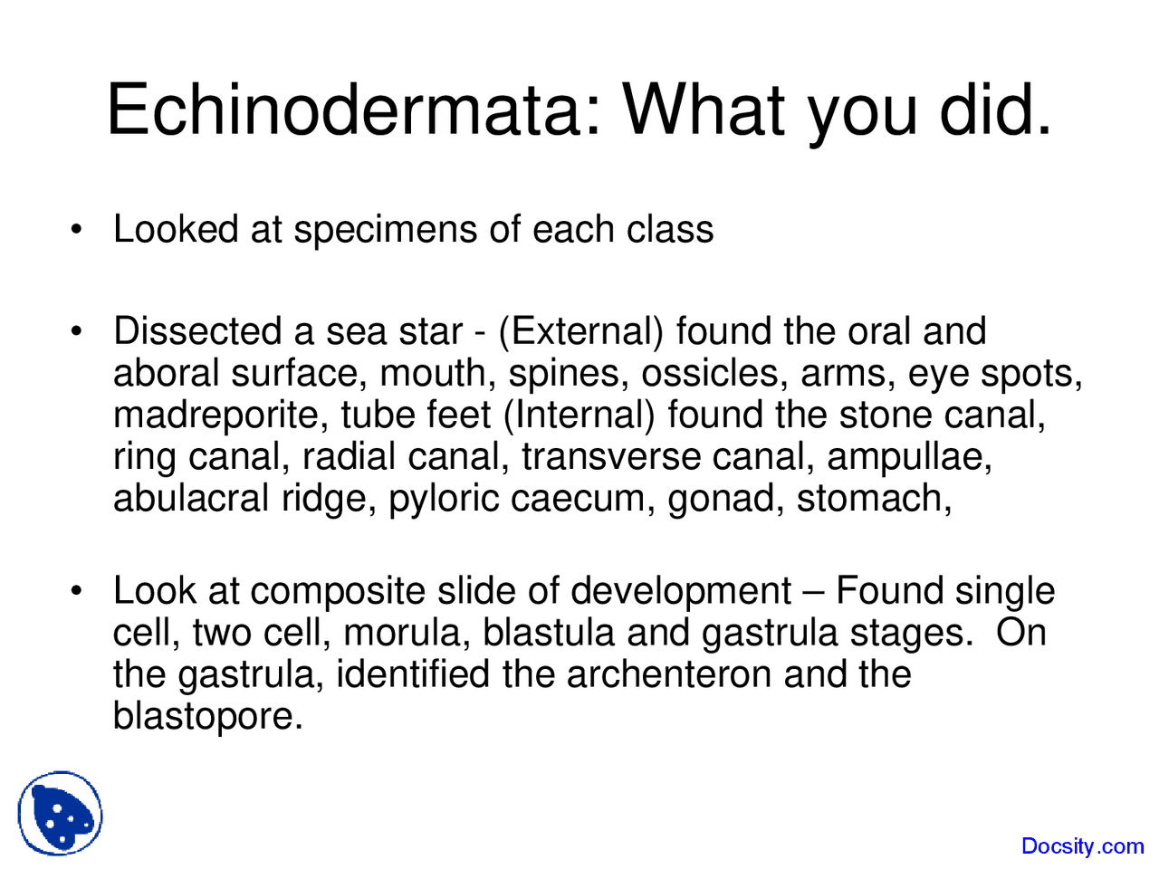 Echinodermata And Chordata Biology Of Organisms Lecture Slides