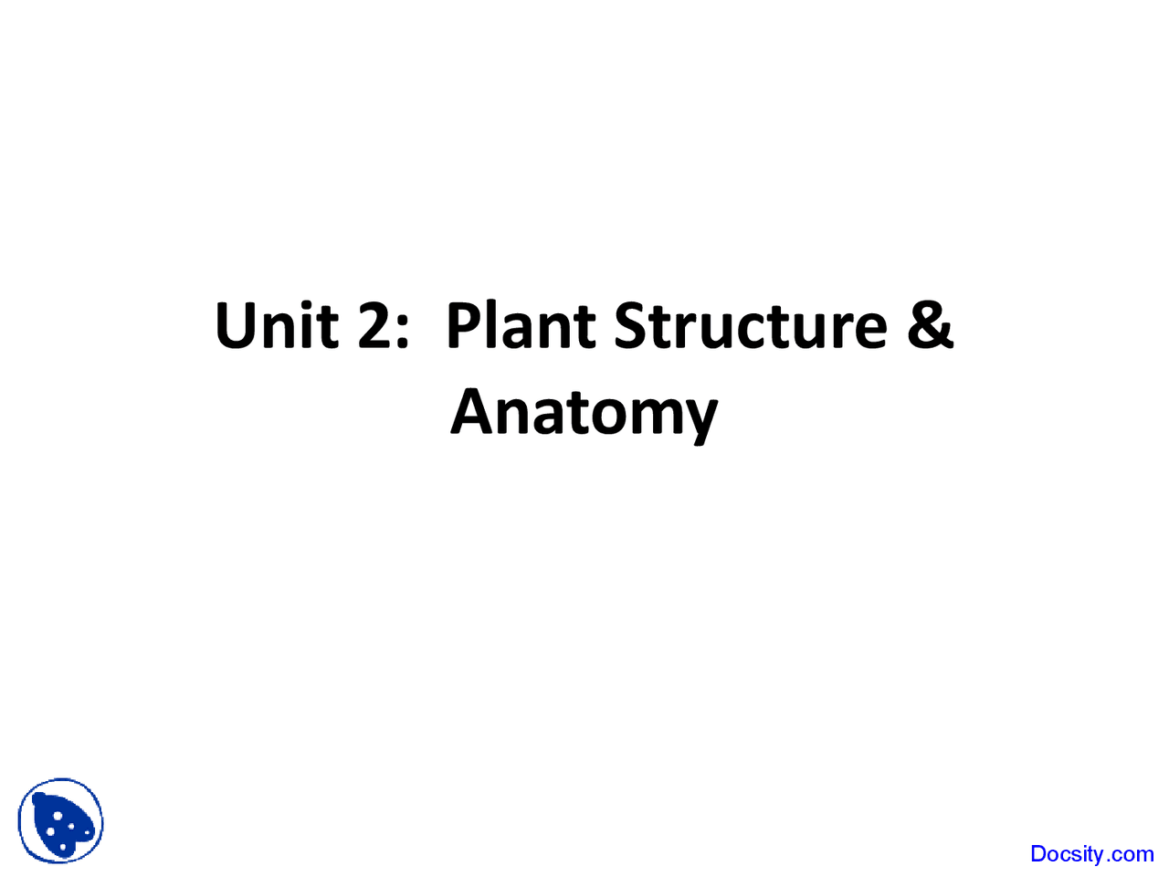 Plant Structure And Anatomy Crop Production Lecture Slides Docsity