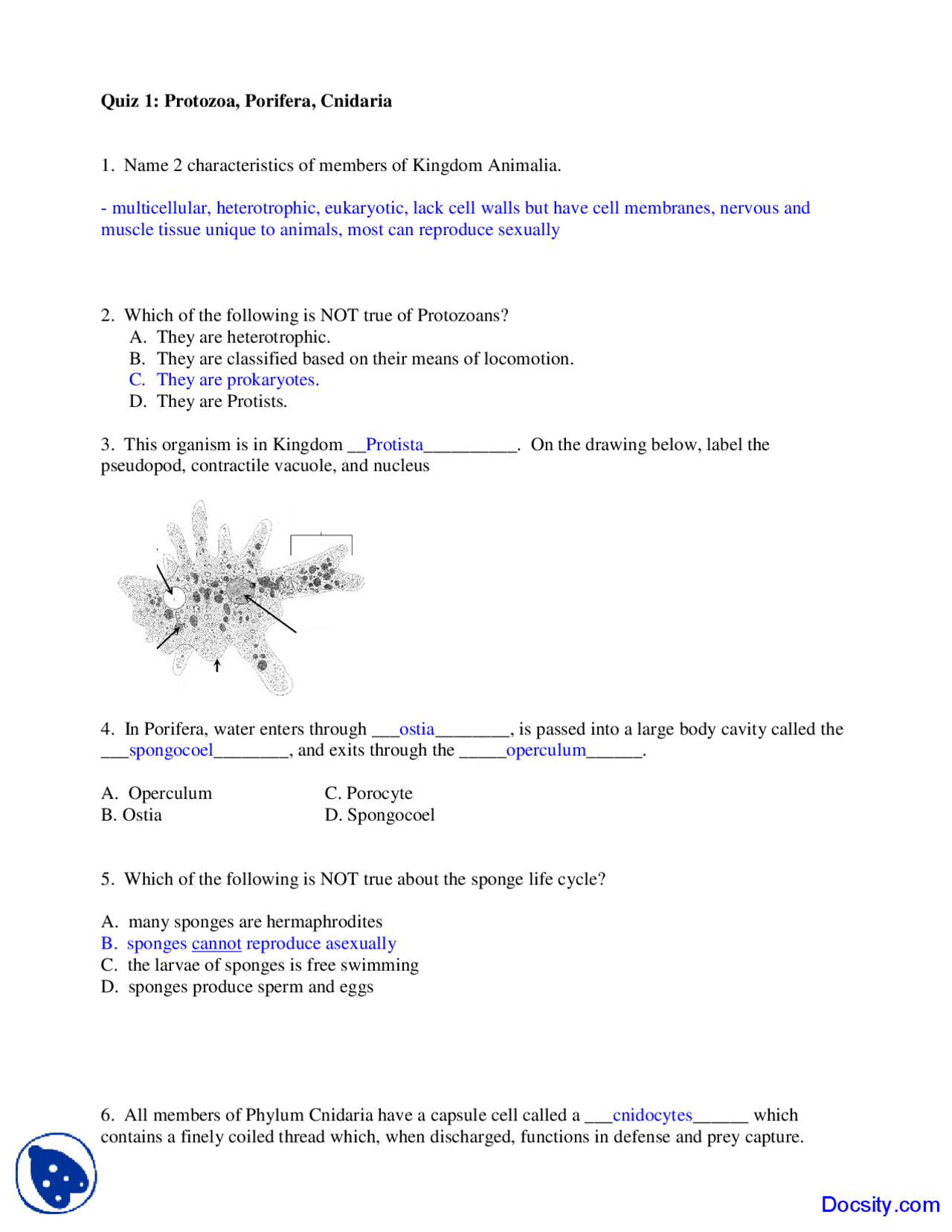 Protozoa Porifera Cnidaria - Biology of Organisms - Solved Quiz ...