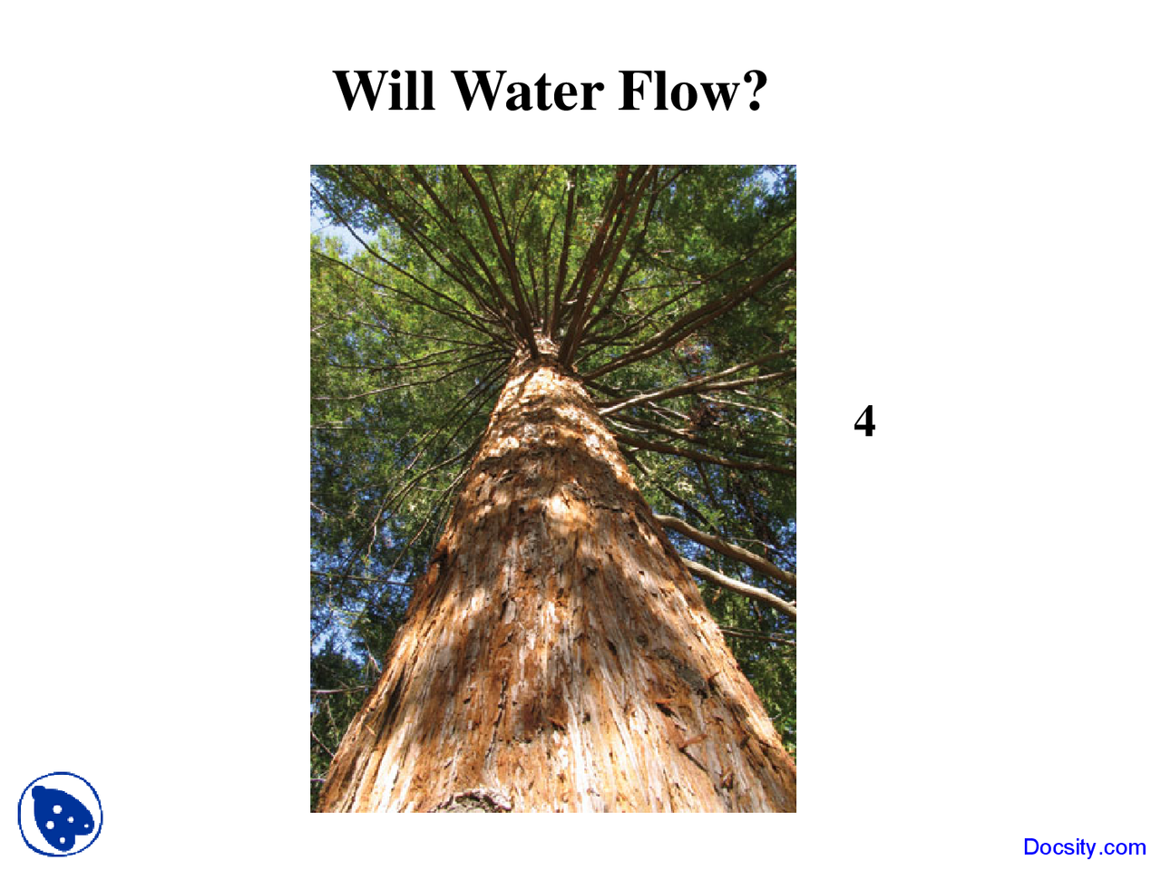 Water - Plant Biology - Lecture Slides - Docsity