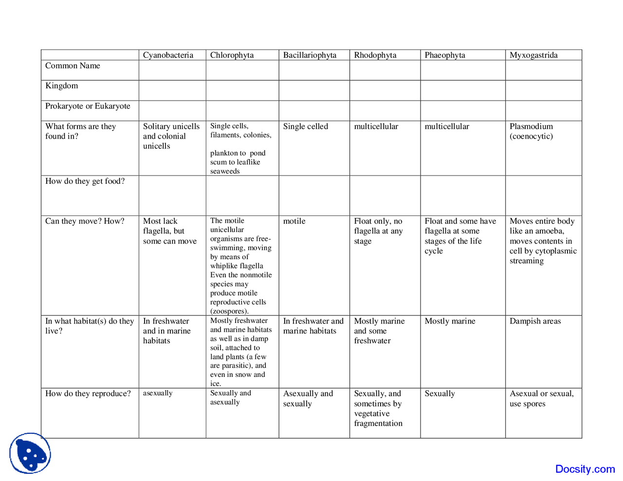 Bacillariophyta Biology Of Organisms Lecture Handouts Docsity