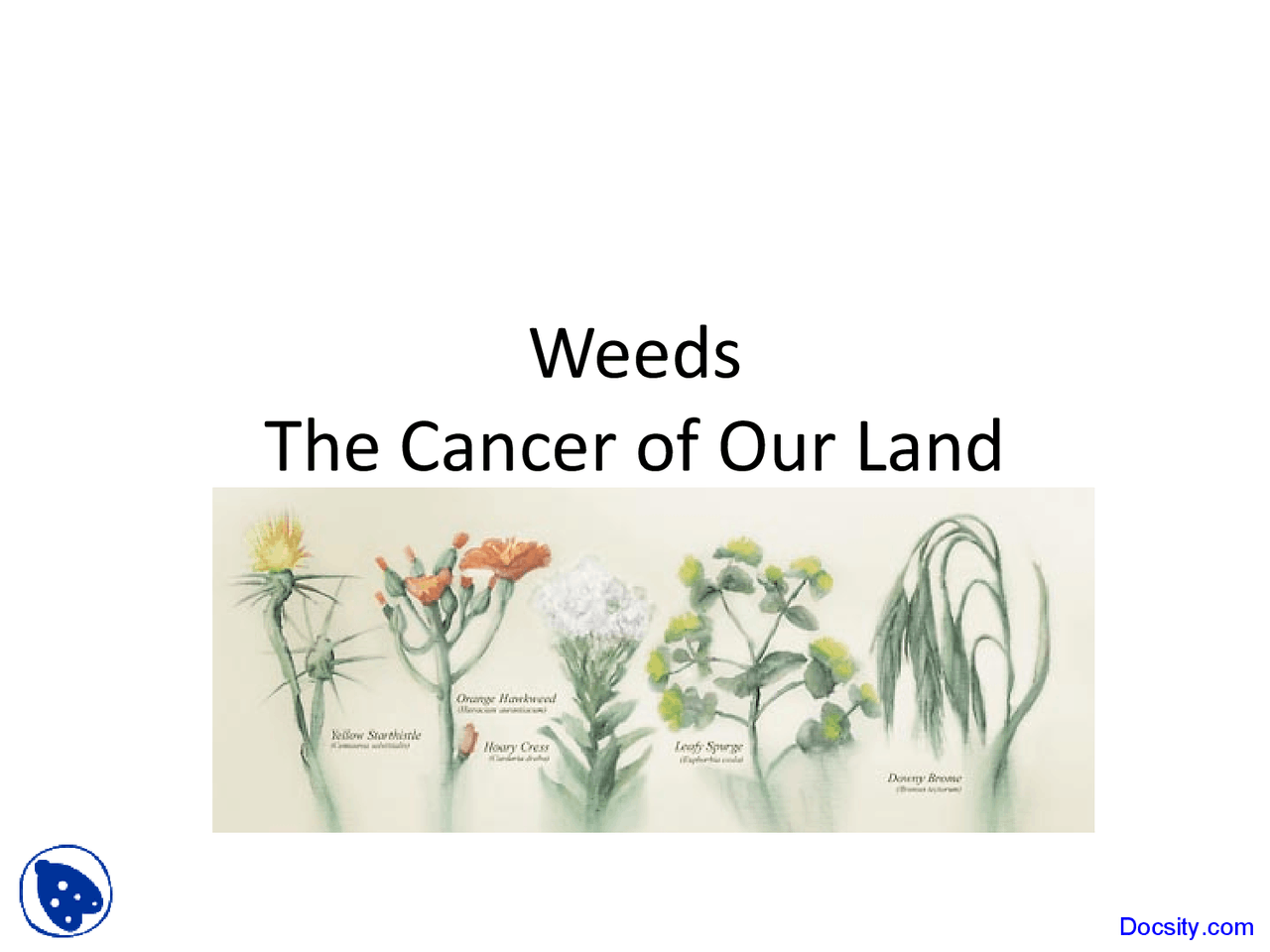 Weeds Rangeland Principles Lecture Slides Docsity
