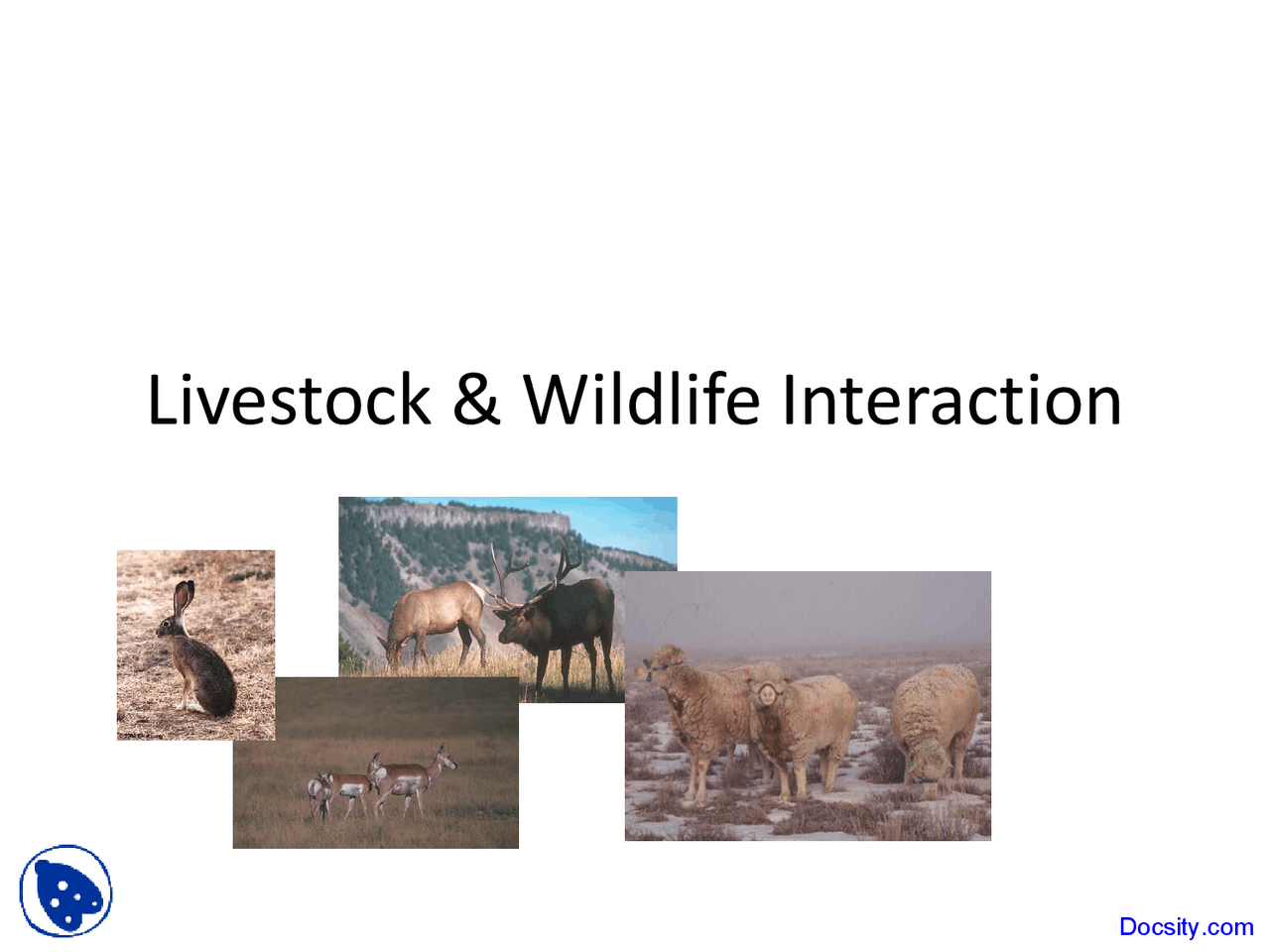 Livestock And Wildlife Interaction Rangeland Principles Lecture