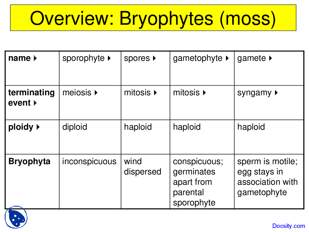 Overview Bryophytes Introduction To Biology Lecture Slides Docsity