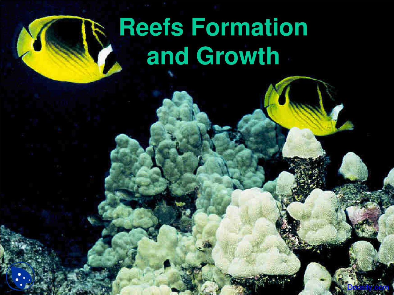 Reefs Formation - Coral Reef Biology - Lecture Slides - Docsity